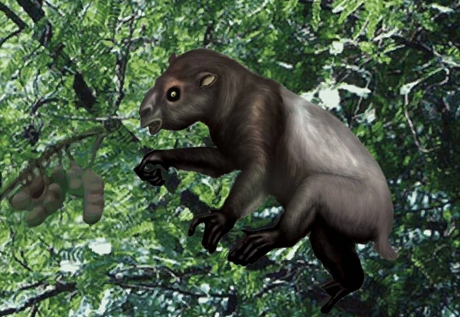 Megaladapis | Prehistoria Fandom | Fandom