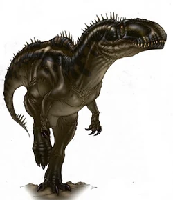 Usuario Blog:Blog de Jason/Eocarcharia | Prehistoria Fandom | Fandom