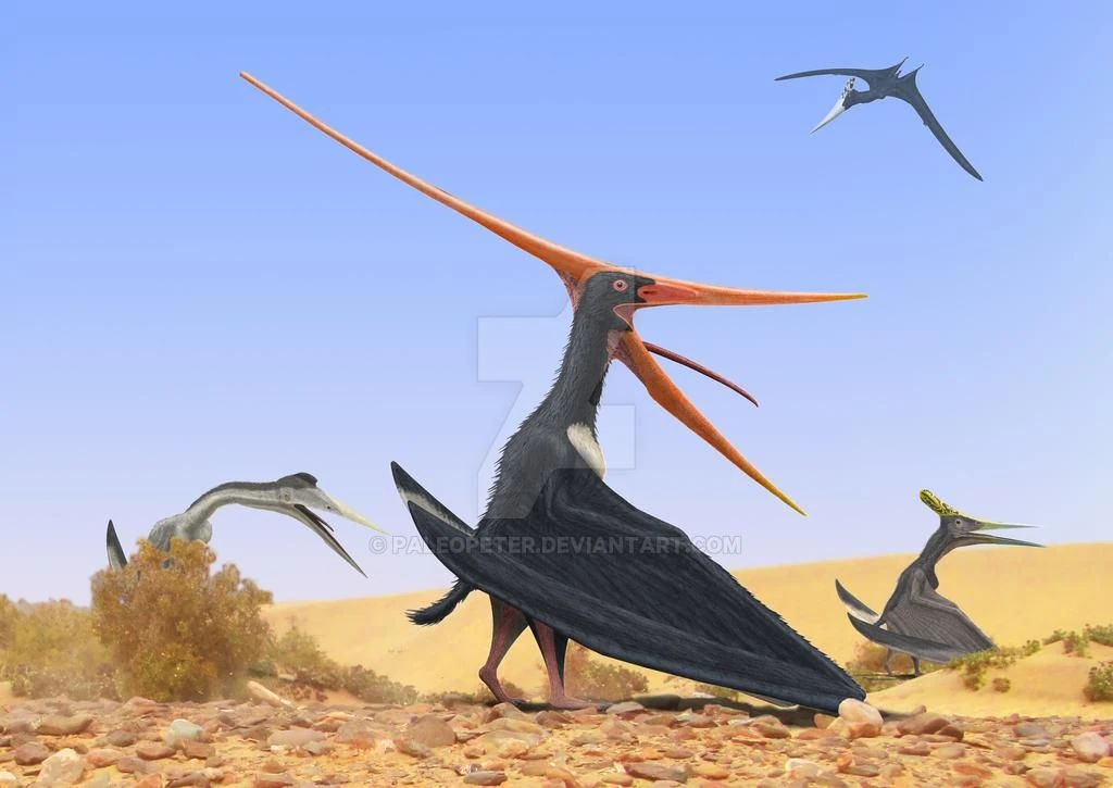 Barbaridactylus | Prehistoria Fandom | Fandom