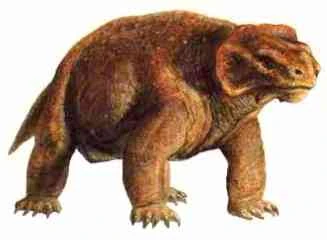 Pareiasaurus | Prehistoria Fandom | Fandom