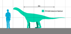 Ohmdenosaurus | Prehistoria Fandom | Fandom