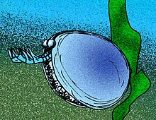 Forfexicaris | Prehistoria Fandom | Fandom