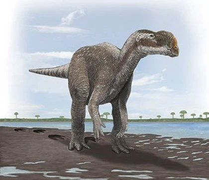 Fostoria dhimbangunmal | Prehistoria Fandom | Fandom