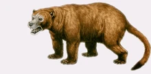 Sarkastodon | Prehistoria Fandom | Fandom