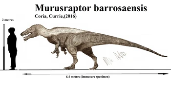 Murusraptor | Prehistoria Fandom | Fandom