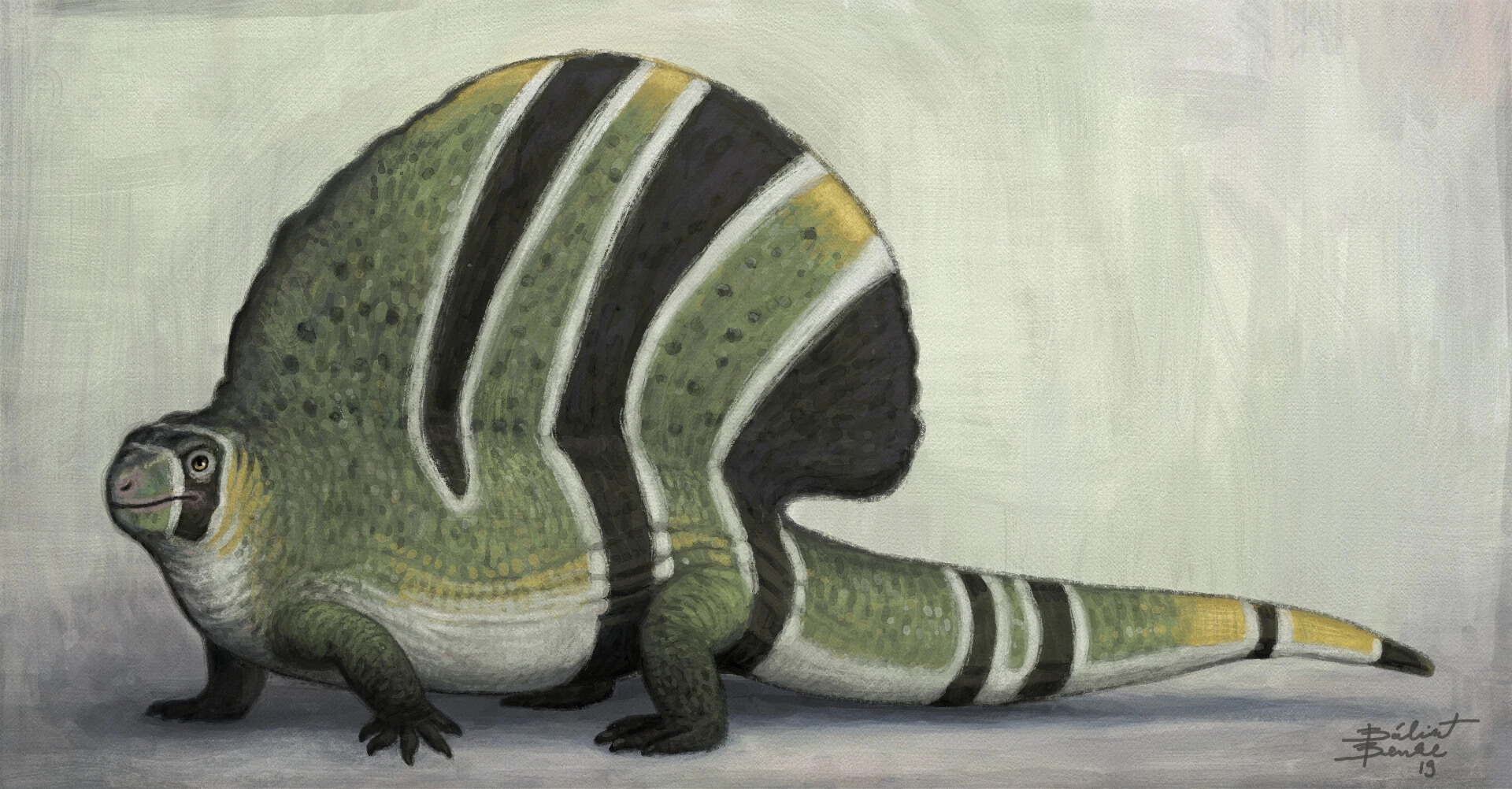 Edaphosaurus | Prehistoria Fandom | Fandom