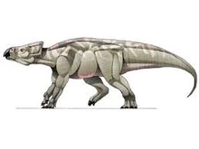 Microceratus | Prehistoria Fandom | Fandom