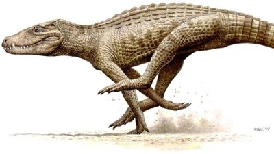 Discuss Everything About Prehistoria Fandom | Fandom