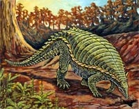 Aetosauria | Prehistoria Fandom | Fandom