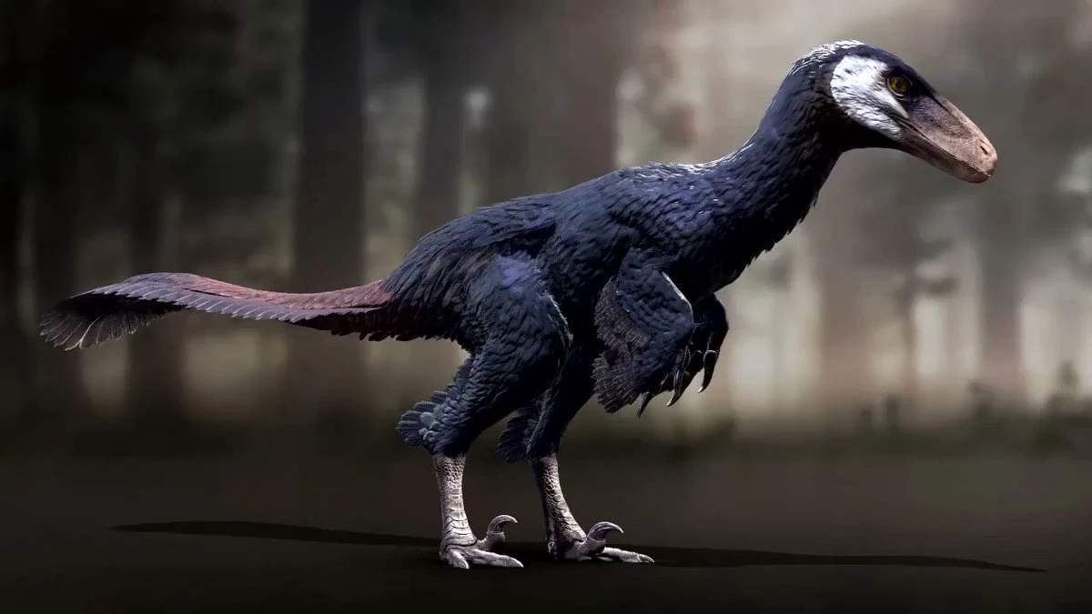 Pectinodon | Prehistoria Fandom | Fandom