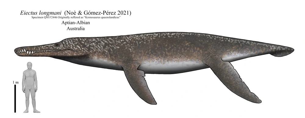 Eiectus | Prehistoria Fandom | Fandom