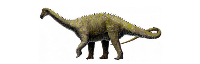 Quaesitosaurus | Prehistoria Fandom | Fandom