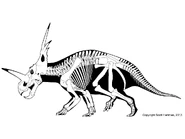 Styracosaurus | Prehistoria Fandom | Fandom