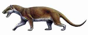 Borhyaena | Prehistoria Fandom | Fandom