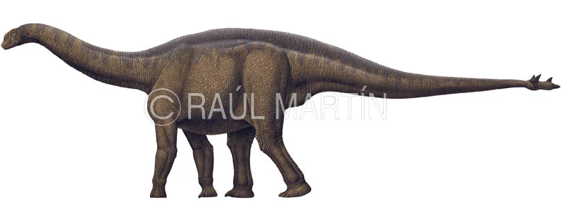 Shunosaurus | Prehistoria Fandom | Fandom