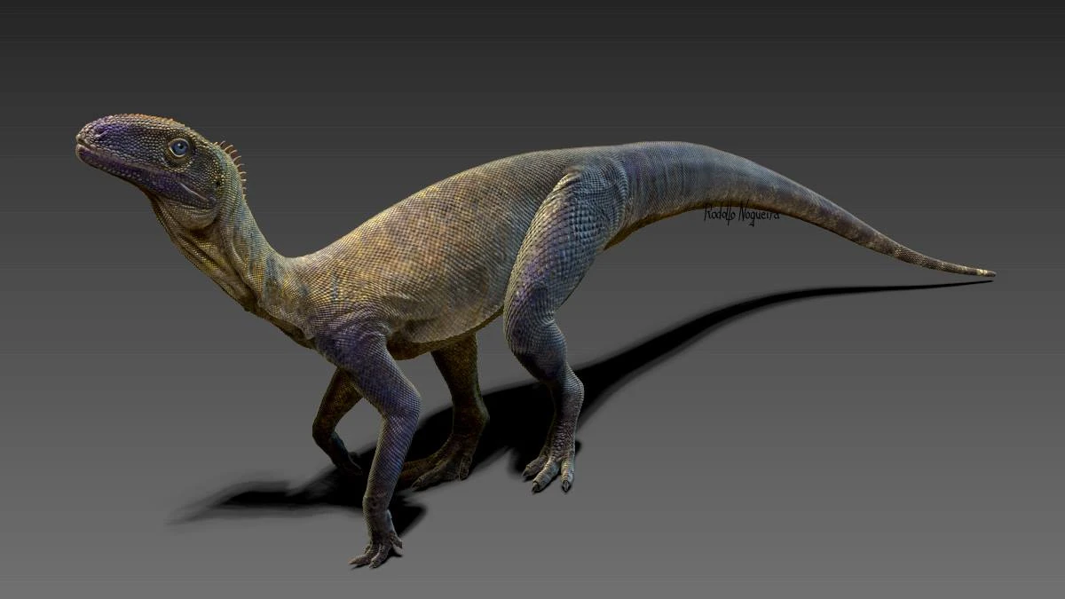 Sacisaurus | Prehistoria Fandom | Fandom