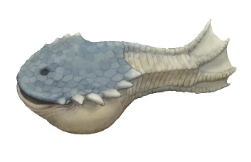 Ctenaspis | Prehistoria Fandom | Fandom