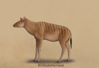 Helladotherium | Prehistoria Fandom | Fandom