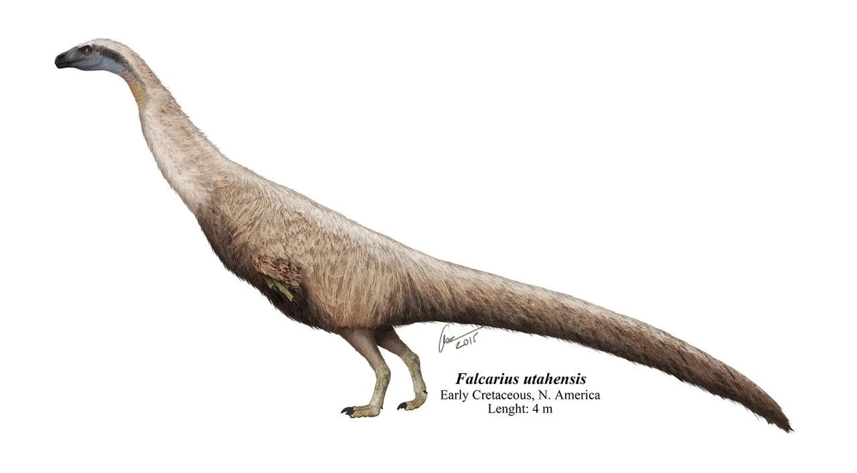 Falcarius | Prehistoria Fandom | Fandom