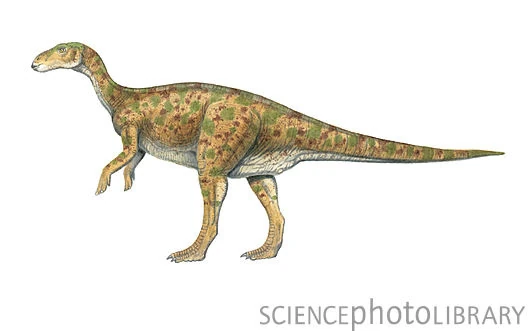 Gilmoreosaurus | Prehistoria Fandom | Fandom