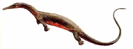 Xinpusaurus | Prehistoria Fandom | Fandom