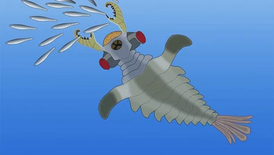 Lyrarapax | Prehistoria Fandom | Fandom