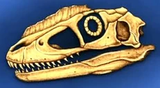 Zupaysaurus | Prehistoria Fandom | Fandom