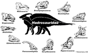 Hadrosauridae | Prehistoria Fandom | Fandom