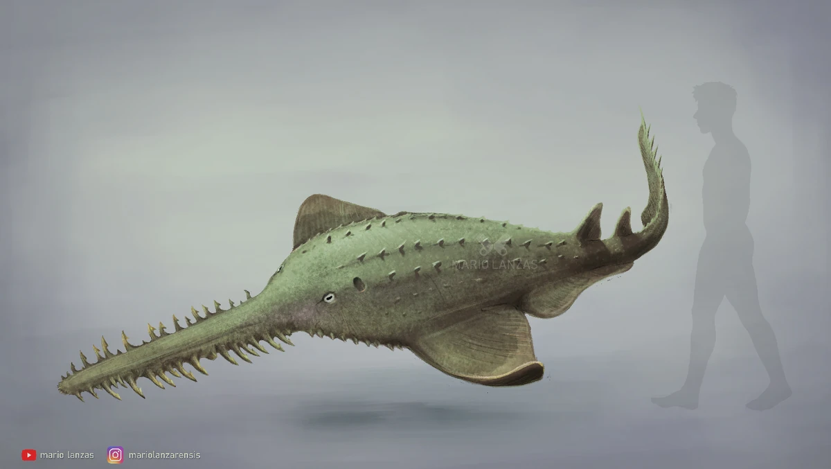 Onchopristis | Prehistoria Fandom | Fandom