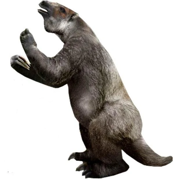 Megatherium | Prehistoria Fandom | Fandom