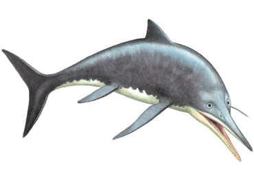 Barracudasaurus | Prehistoria Fandom | Fandom