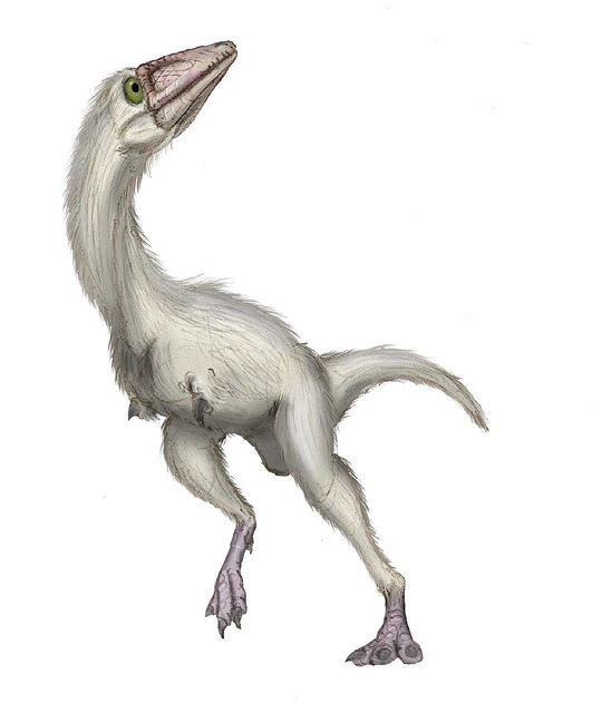 Parvicursor | Prehistoria Fandom | Fandom