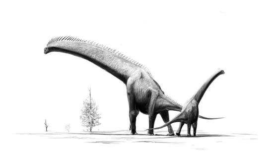 Ischyrosaurus | Prehistoria Fandom | Fandom
