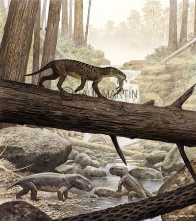 Capitaniano | Prehistoria Fandom | Fandom