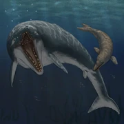 Basilosaurus | Prehistoria Fandom | Fandom