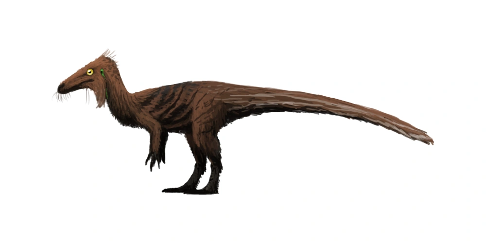 Timimus | Prehistoria Fandom | Fandom