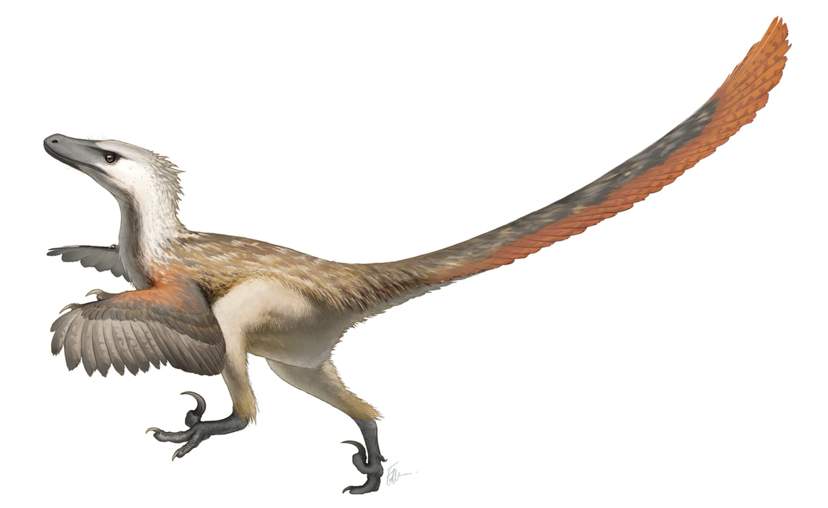 Velociraptor | Prehistoria Fandom | Fandom