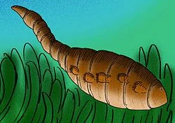 Yuyuanozoon | Prehistoria Fandom | Fandom