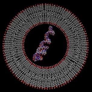 Protobionte | Prehistoria Fandom | Fandom