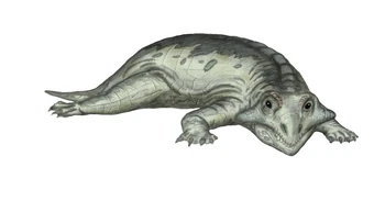 Soturnia | Prehistoria Fandom | Fandom