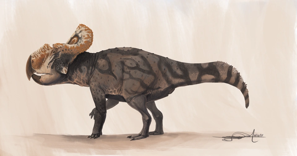 Protoceratops | Prehistoria Fandom | Fandom