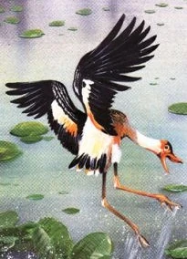 Jucintarsus | Prehistoria Fandom | Fandom