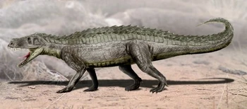 Prestosuchus | Prehistoria Fandom | Fandom