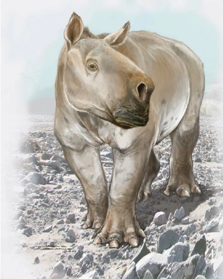 Gualta | Prehistoria Fandom | Fandom