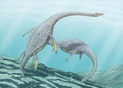 Morenosaurus | Prehistoria Fandom | Fandom