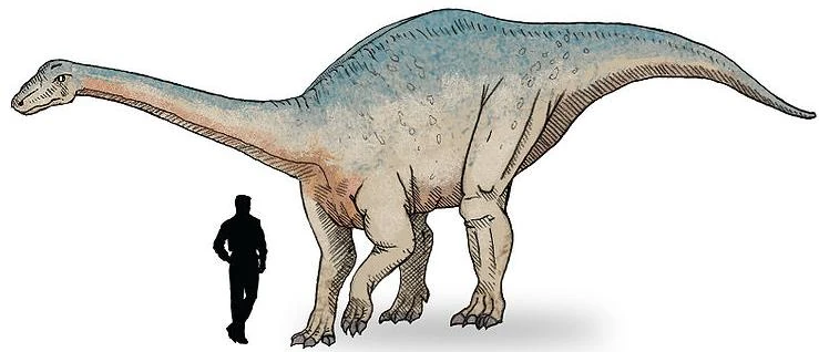 Riojasaurus | Prehistoria Fandom | Fandom