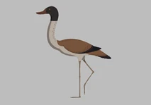 Styginetta | Prehistoria Fandom | Fandom