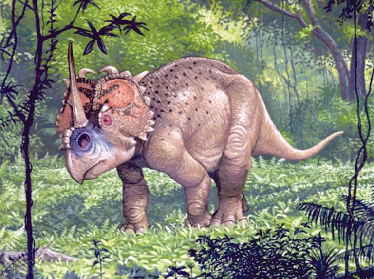 Monoclonius de Coahuila | Prehistoria Fandom | Fandom