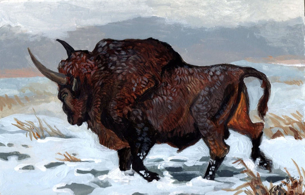 Bison Priscus | Prehistoria Fandom | Fandom