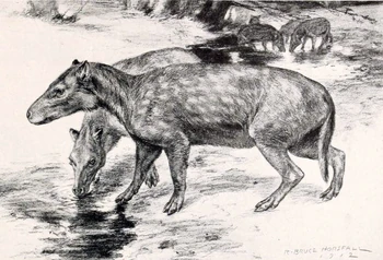 Bothriodon | Prehistoria Fandom | Fandom